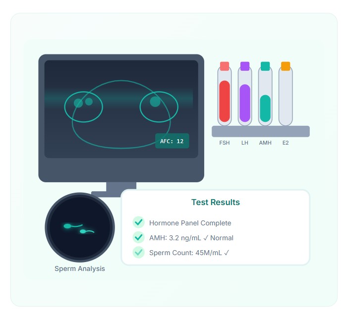 Visual guide to understanding every stage of IVF treatment